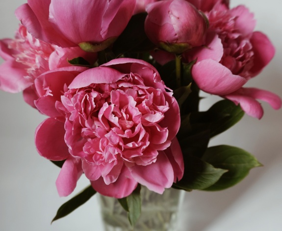 Jennifer Finlayson-Fife | Meet Your Relationship & Sexuality Coach