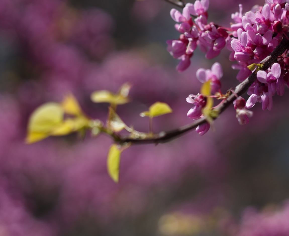 Jennifer Finlayson-Fife | Meet Your Relationship & Sexuality Coach