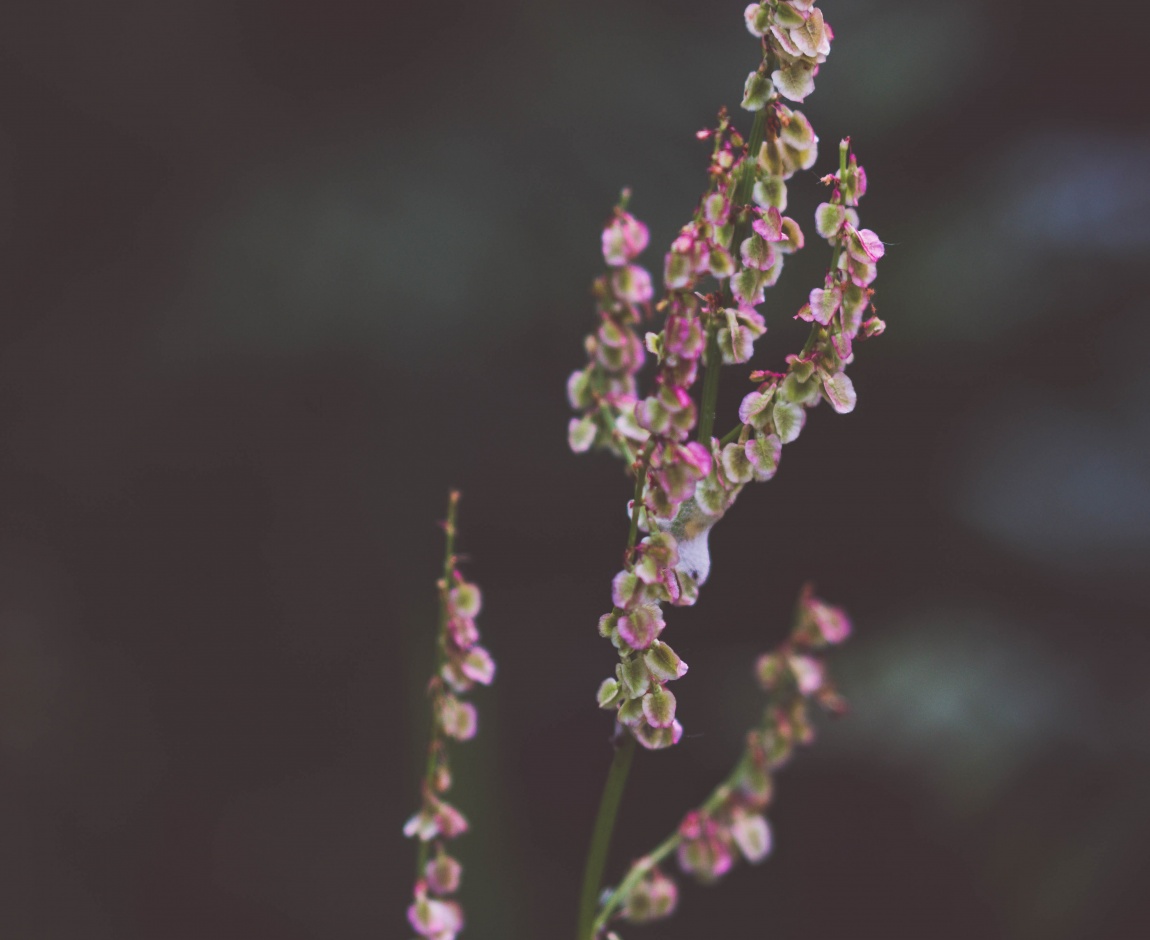 Jennifer Finlayson-Fife | Meet Your Relationship & Sexuality Coach